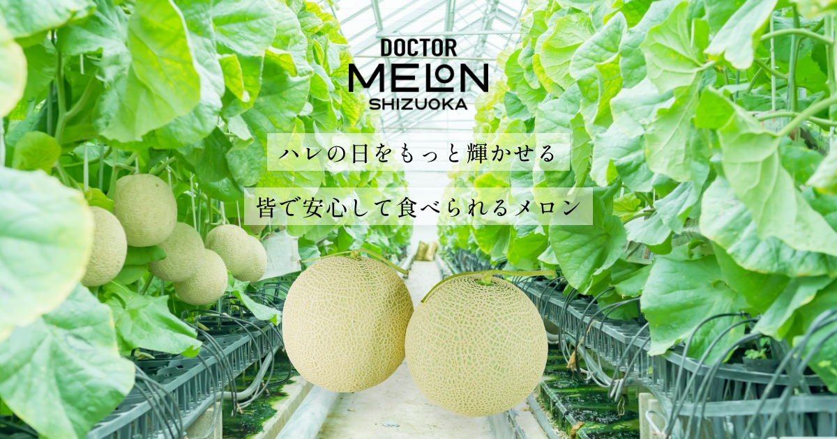DOCTOR MELON ドクターメロン | 腎臓病疾患やカリウム摂取制限の方にもお召し上がりいただける「ドクターメロン」の通販・オンラインショップ